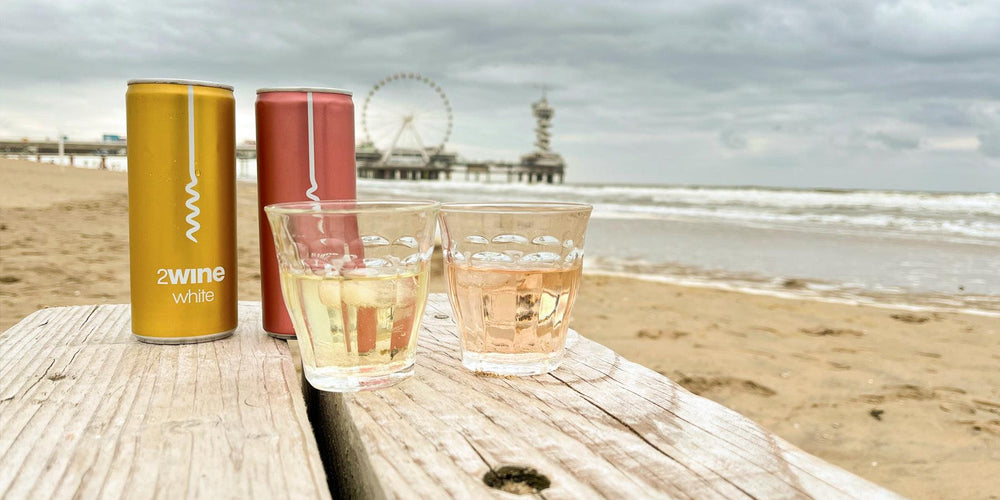 Zomerse wijnen: 2Wine witte wijn en rosé in blik! – Happlify