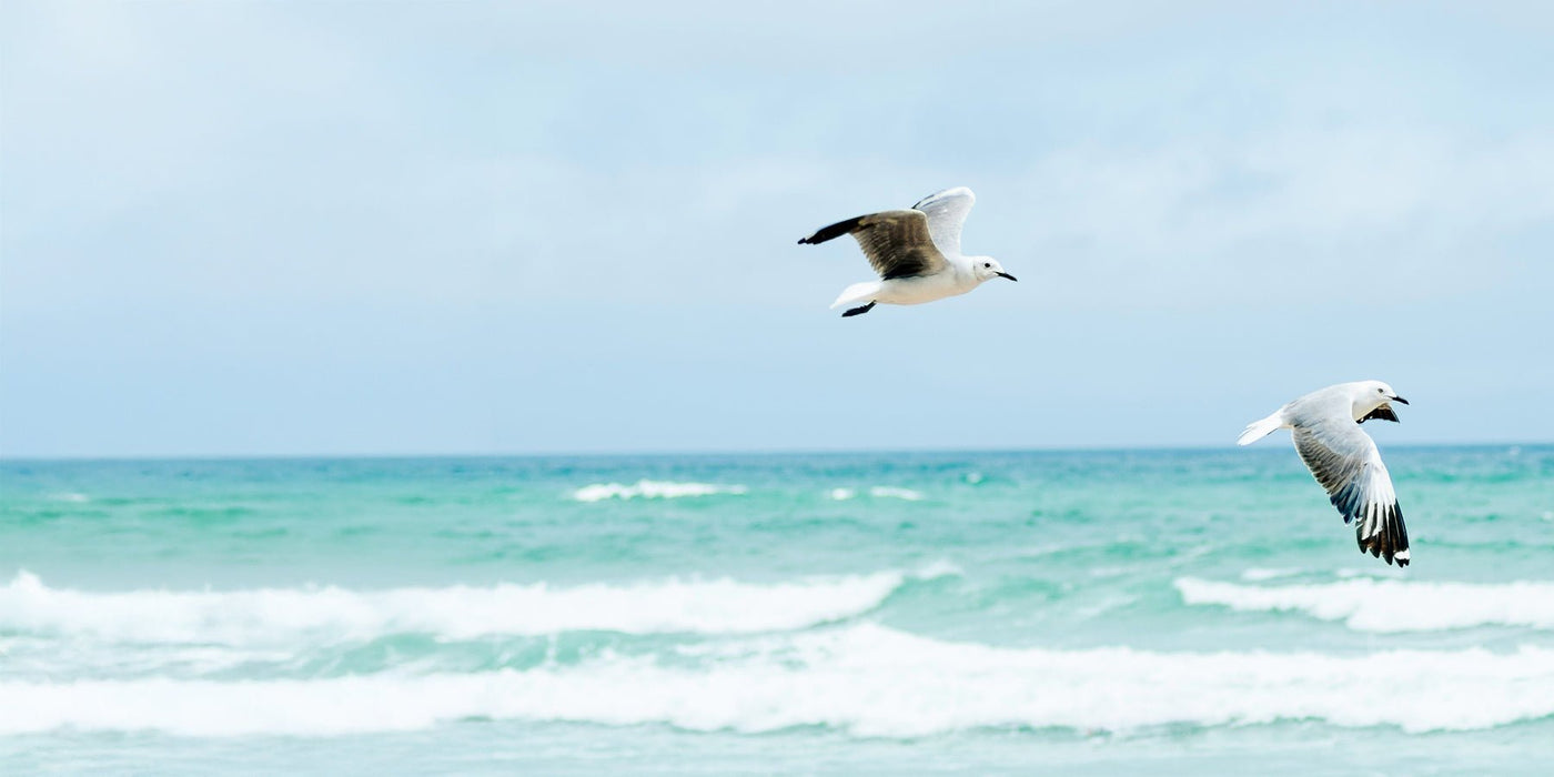 Vrijheid: wat betekent het voor jou? | Happlify