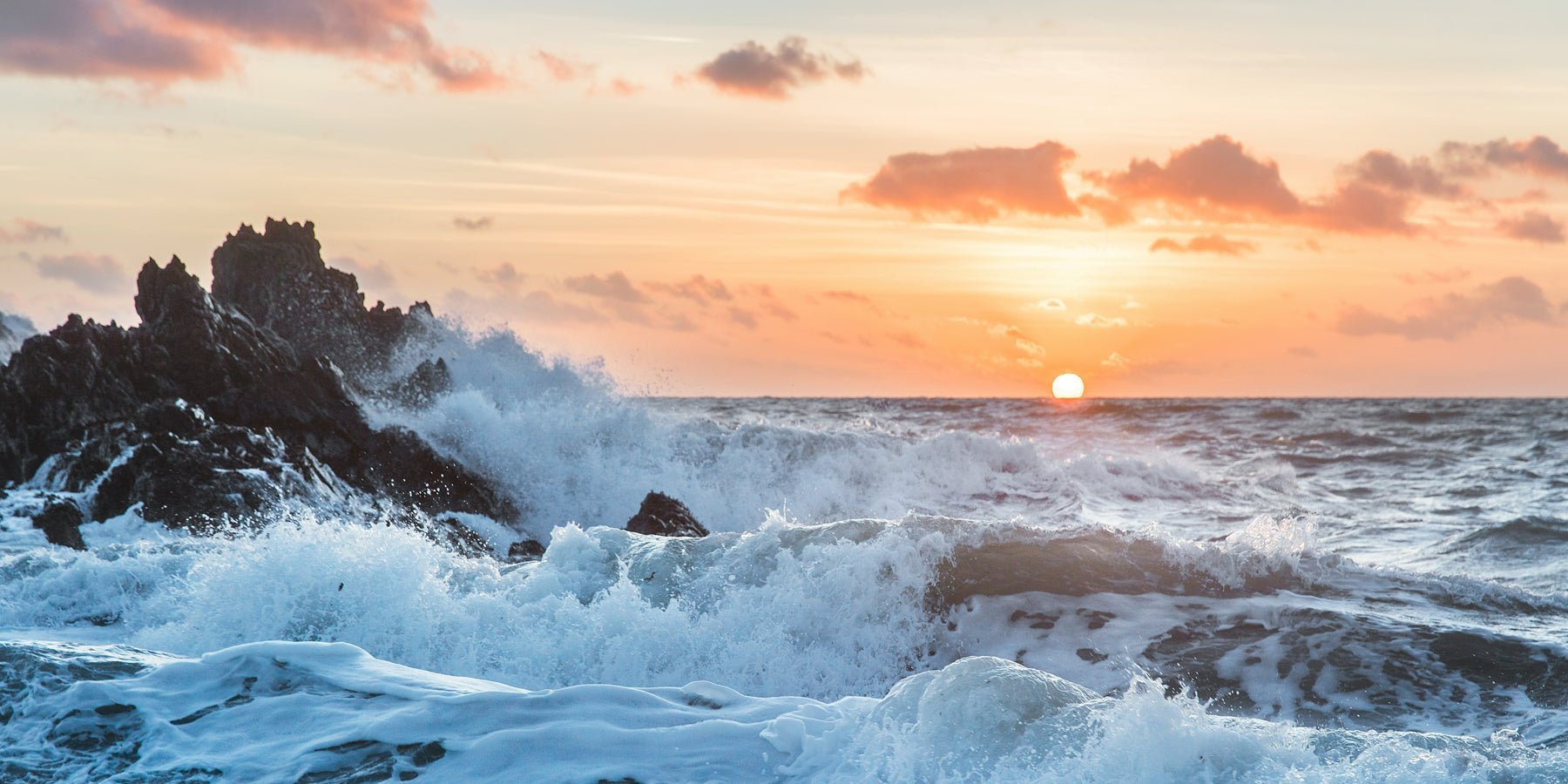 Bloed en de zee: waarom ze verrassend veel op elkaar lijken – Happlify